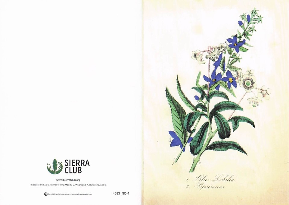 Sierra Club Botanical Note Cards Flowers Vintage Style Nature Art Set ...