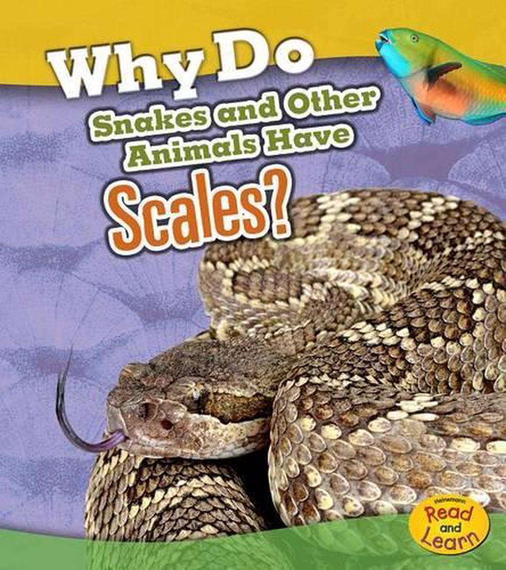 Animal Body Coverings Why Do Snakes and Other Animals Have Scales? by ...