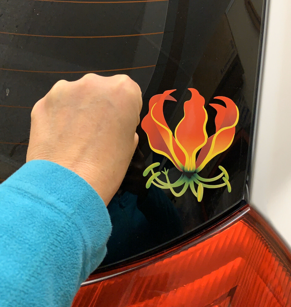 Flame Lily Zimbabwe National Flower Bumper Sticker | eBay