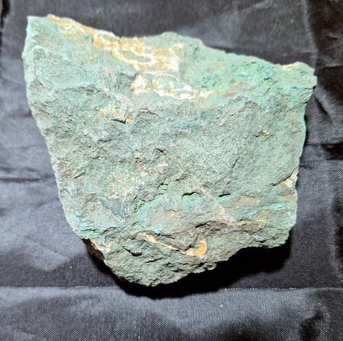 srs: Green Petrified Agatized Wood Limb Cast ~Hampton Butte, Oregon~ 14 ...