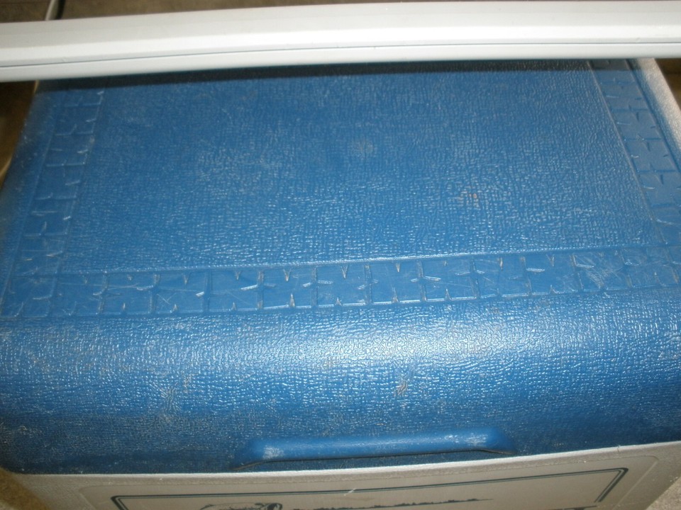 Vintage GOTT Tote SportCooler 12 Lunch Box 12-pack Cooler Ice Chest ...