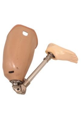 Prosthetic Leg Ossur Bulldog Left Leg&Foot Build Size 10 | eBay