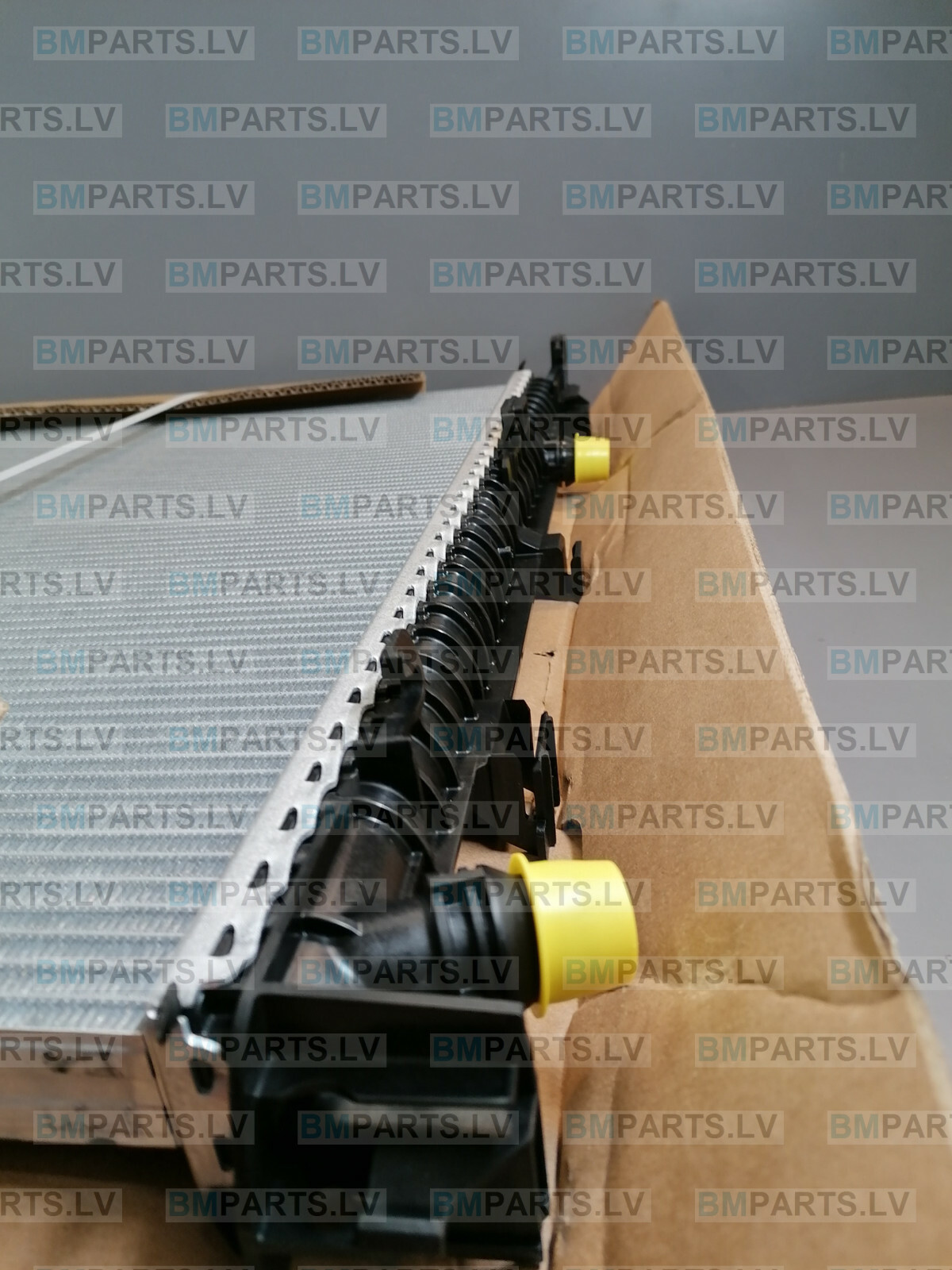 NEW GENUINE BMW X3 G01 F97 X4 G02 F98 COOLANT RADIATOR 17119468695 ...