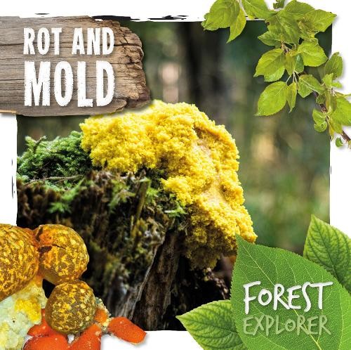 Robin Twiddy Rot & Mould (Hardback) Forest Explorer (US IMPORT) | eBay ...