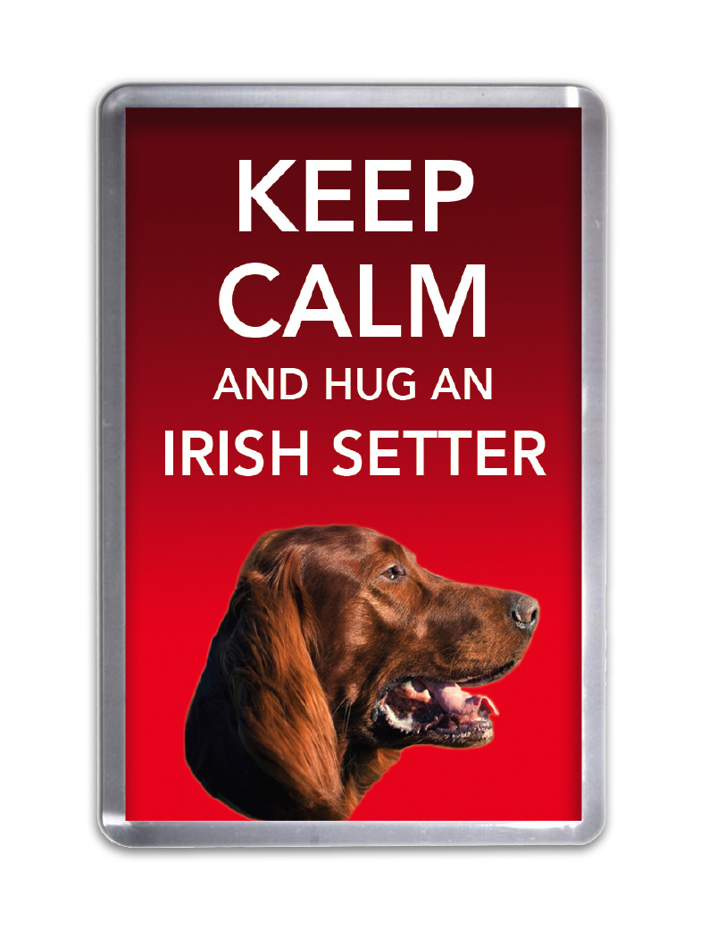 Keep Calm and Hug a IRISH SETTER - Dog Fridge Magnet Pet Animal Novelty ...