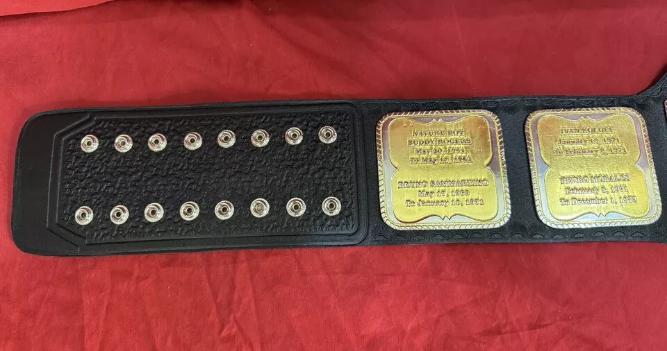 Hogan 84 World Heavyweight Wrestling Championship Belt NeW | eBay