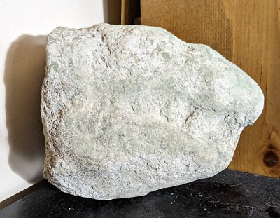 Real Dinosaur Head Fossil Intact With Skin (Scales) Preserved One Of A ...