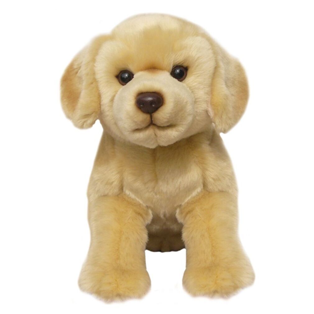 Soft Yellow Labrador Retriever Puppies