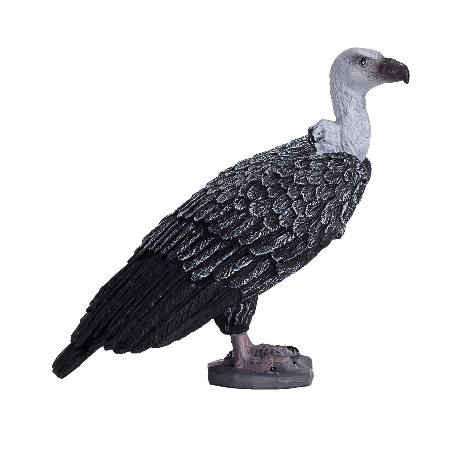 Mojo GRIFFON VULTURE Wild zoo animals play model figure toys plastic forest bird | eBay