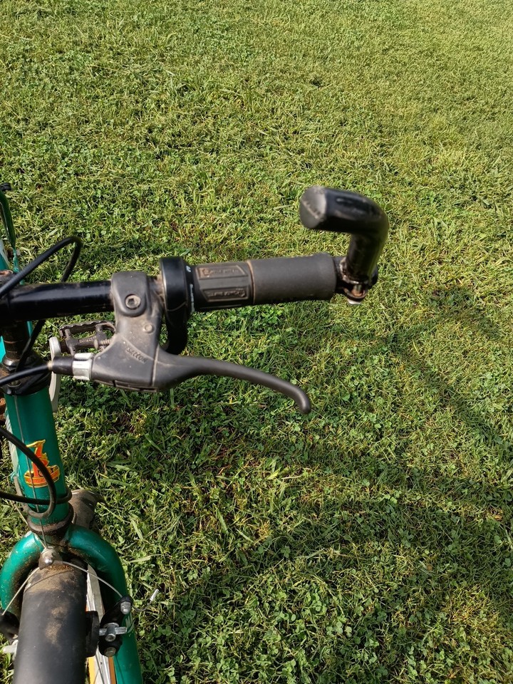 Vintage RALEIGH MAX OGRE-18 Steel Mtn Bike 19.5" Frame 26" Wheels ...