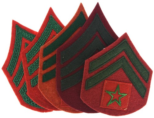 Civilian Conservation Corps CCC Cloth Rank Insignia Lot | eBay