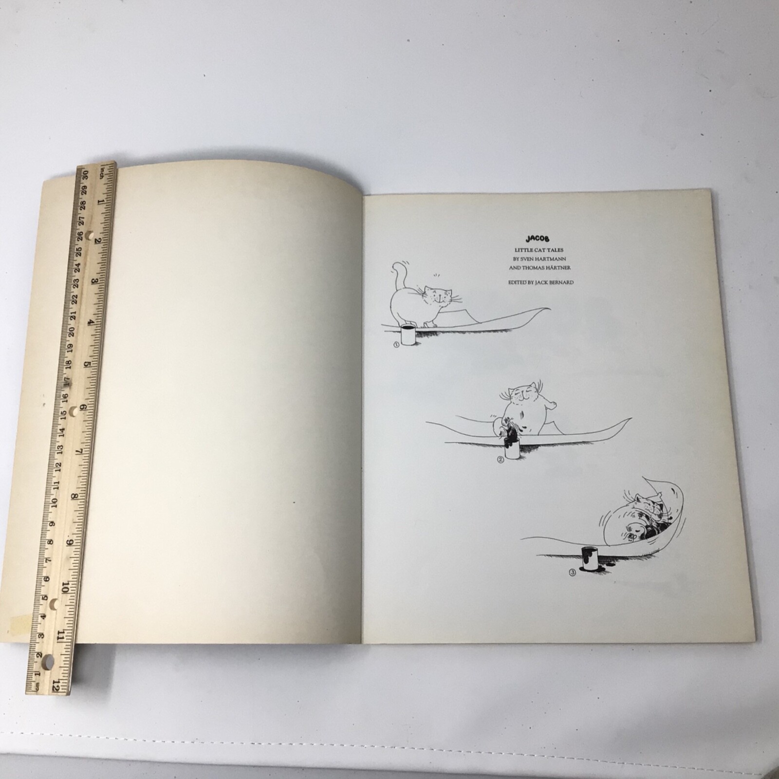 Little Cat Tales Series Jacob by Thomas Hartner and Steve Hartmann ...