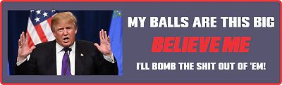 TRUMP STICKER BIG BALLS POLITICAL BUMPER STICKER WINDOW DECAL | eBay