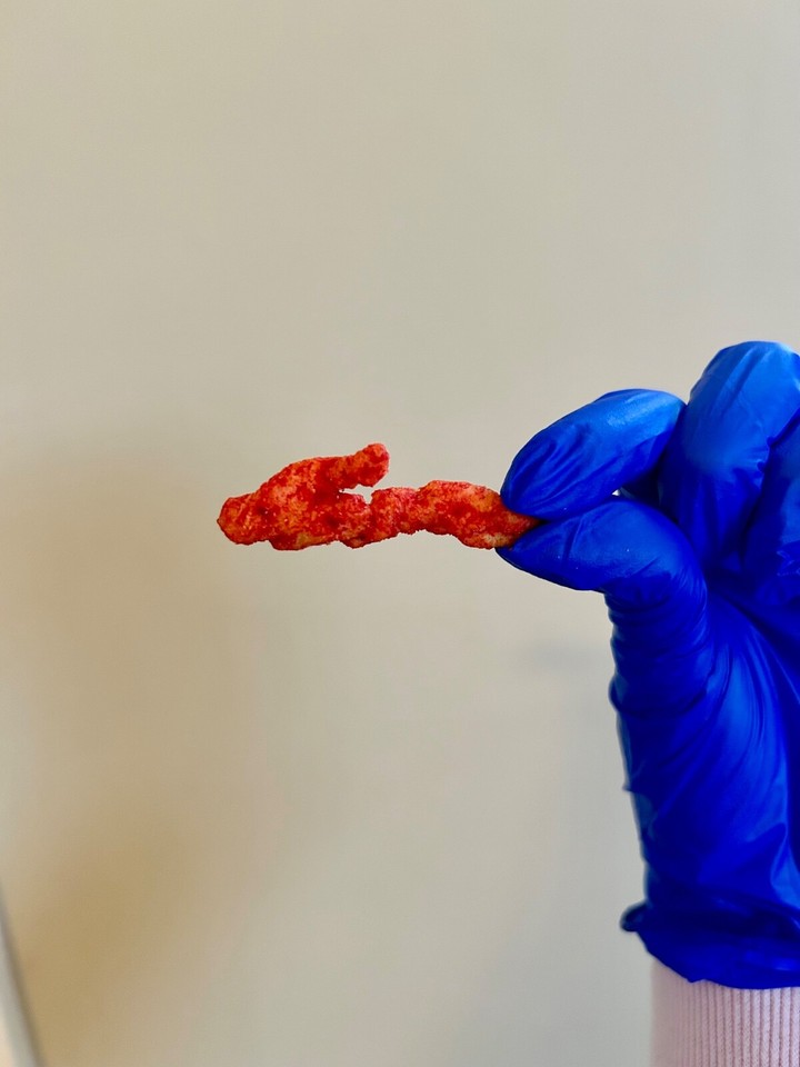 Rare Dragon Pokémon Cheeto! - Red Gyarados Lookalike Collectible | eBay