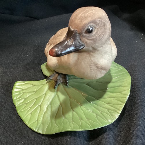 Vintage Edward Marshall Boehm Porcelain Bird Cygnet Olor 400-46 Duck | eBay