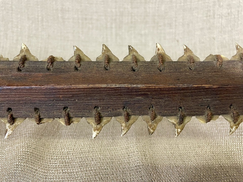 18th Century Micronesian Shark Tooth Sword | eBay