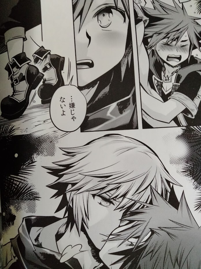 Kingdom Hearts Riku And Sora Doujinshi