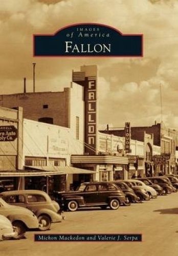 Fallon by Michon Mackedon, Valerie Serpa (Paperback / softback, 2014 ...