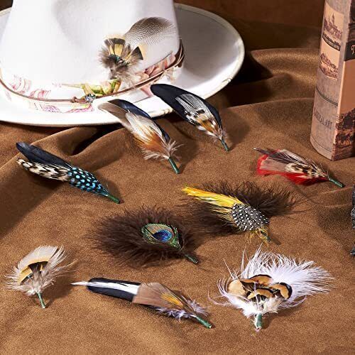MIX BROWN Hat Feathers Assorted Natural Feather Packs Accessories for ...