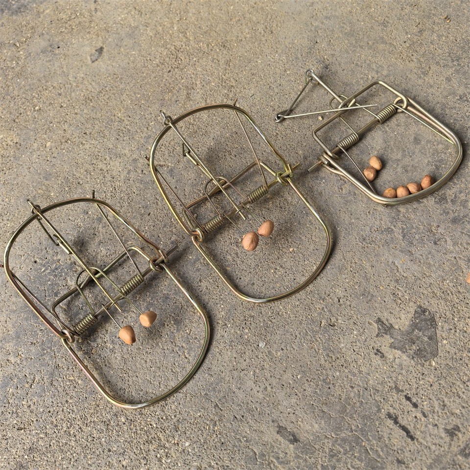 3 Pieces Mouse Traps Rat Mice Killer Snap Trap Power Rodent Heavy Duty ...
