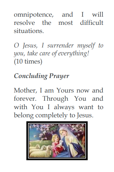 Jesus, You Take Over: Prayers for Surrender to God's Will Fr. Dolindo ...