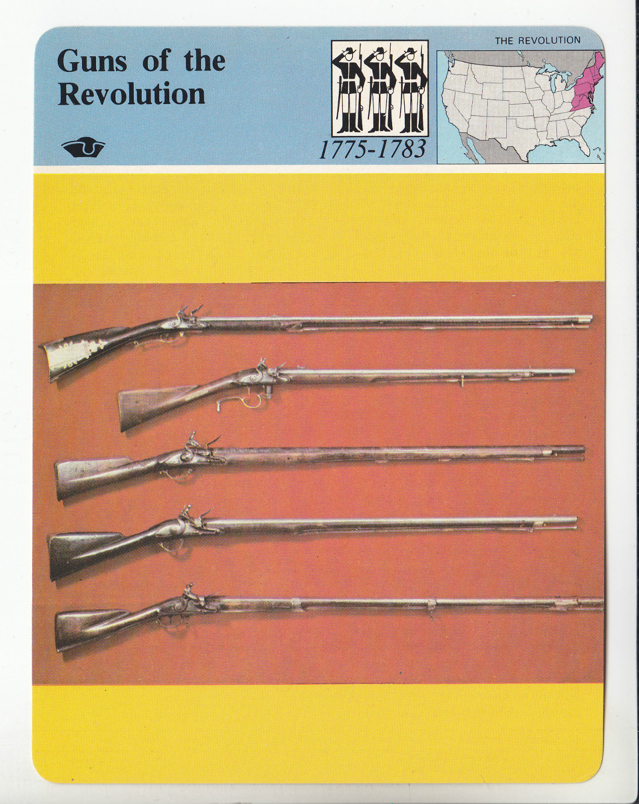 GUNS OF THE REVOLUTION Firearms History Muskets Rifles STORY OF AMERICA ...