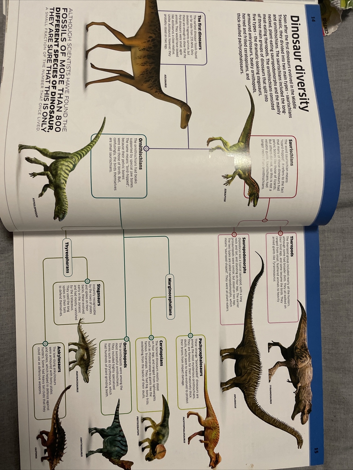 Knowledge Encyclopedia Dinosaur!: Over 60 Prehistoric Creatures 9780241364369 | eBay Australia