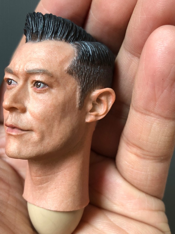 1:6 Asian Louis Koo Tin Lok Head Sculpt Model For 12" Male HT Figure ...