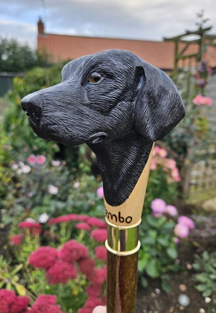 Walking stick black Labrador dog handle dog hand carv… - Gem