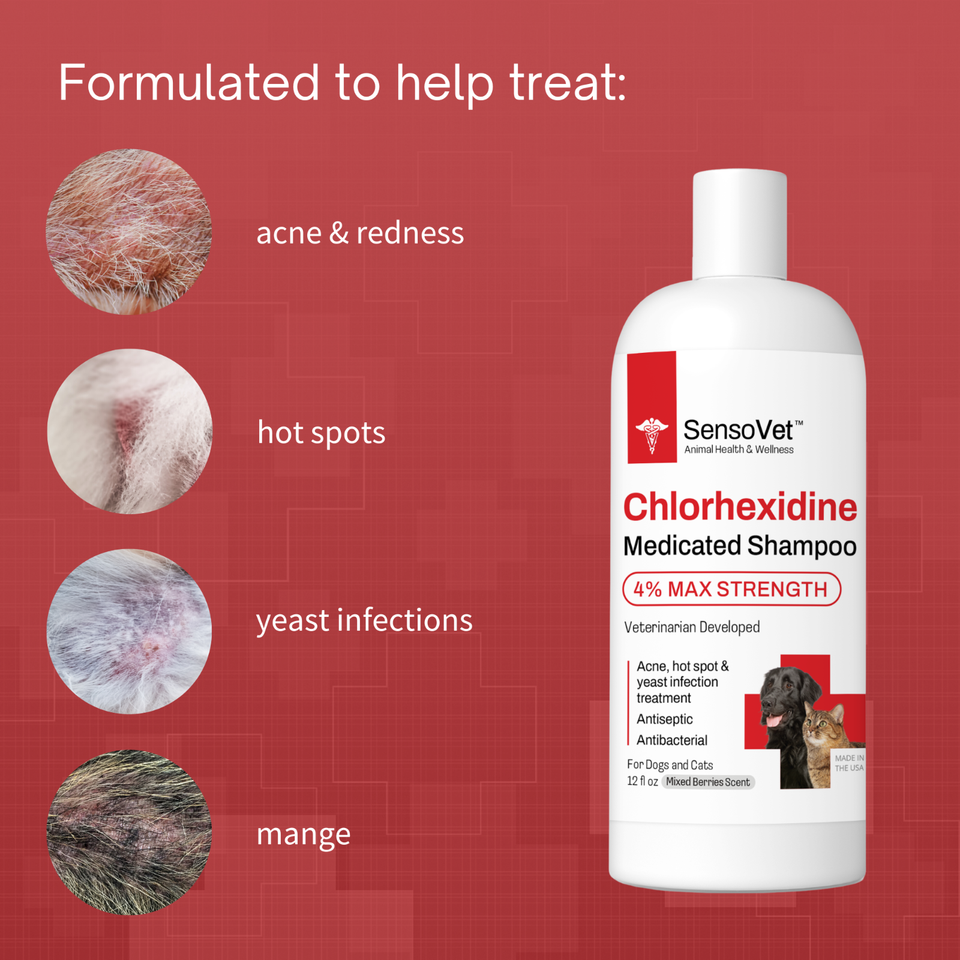 SensoVet Chlorhexidine 4% Max Strength Shampoo Medicated Shampoo for ...