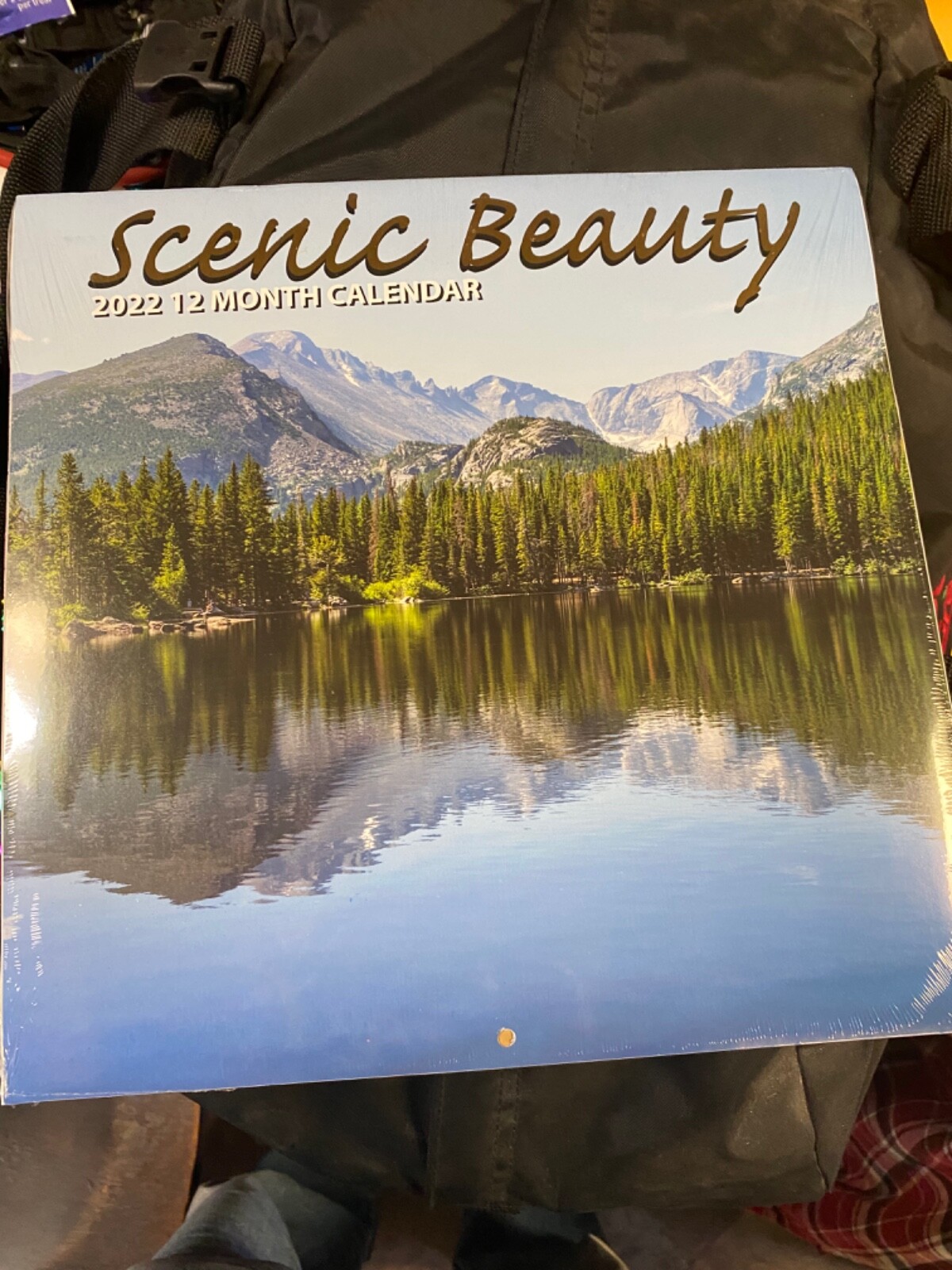 Scenery 2022 12 MONTH CALENDAR - BRAND NEW | eBay