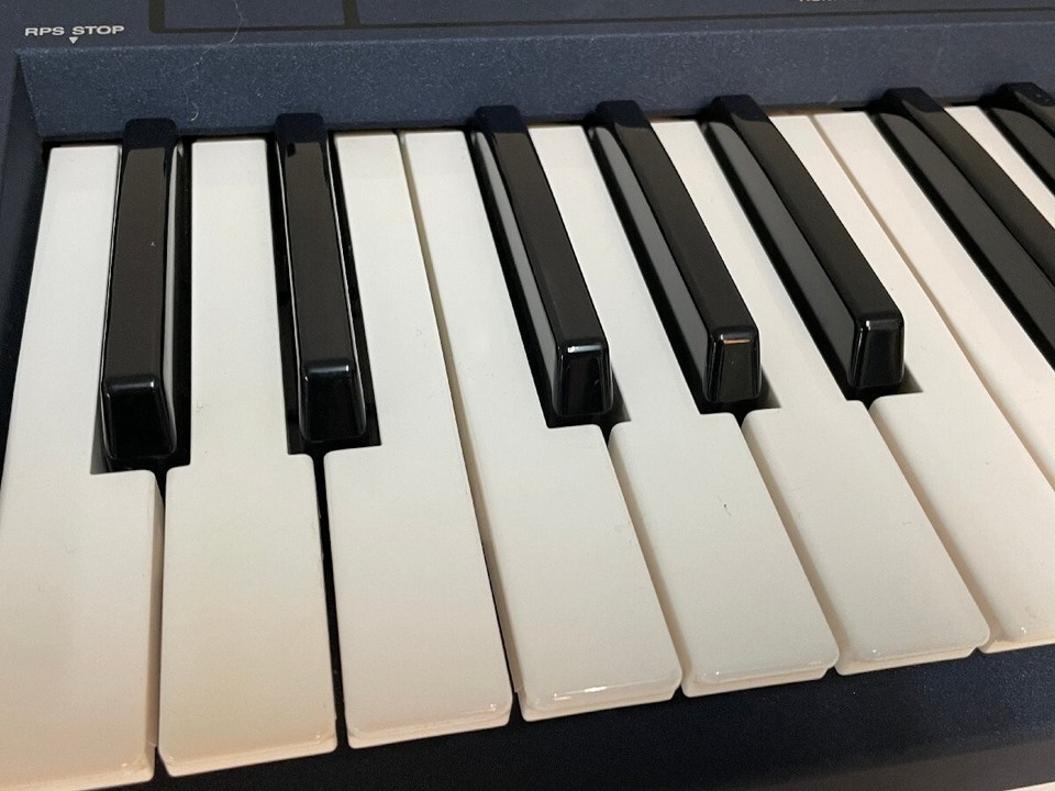 Roland JP-8000 49-Key Sound Module Keyboard Synthesize | eBay