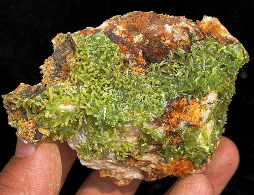 Natural Green Pyromorphite Crystal Cluster on Matrix Mineral Specimen ...