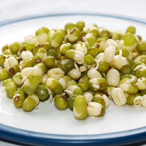 Mung Bean Moong Golden Green Gram Vigna Radiata Vegetable Seeds New ...