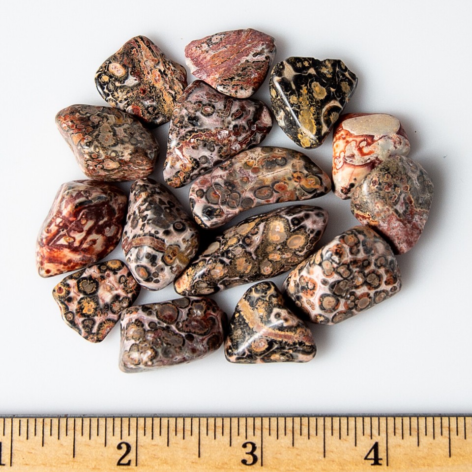 50g Tumbled Leopard Skin Jasper Gemstone Crystals 10-25 Stones Gem Rock ...