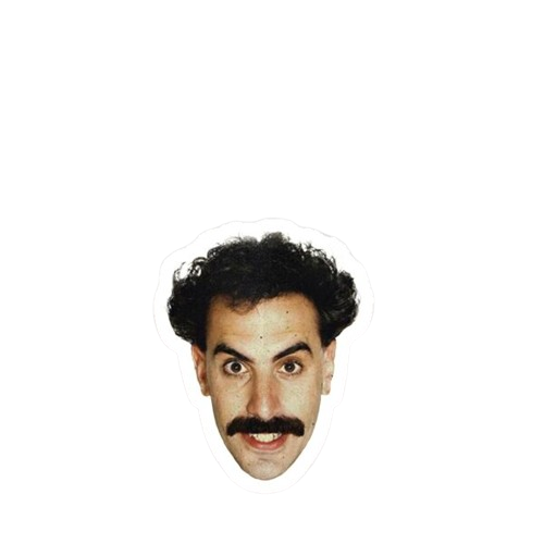 Borat Head Sticker / Decal - meme, aussie , Meme, Cute, Funny, | eBay ...