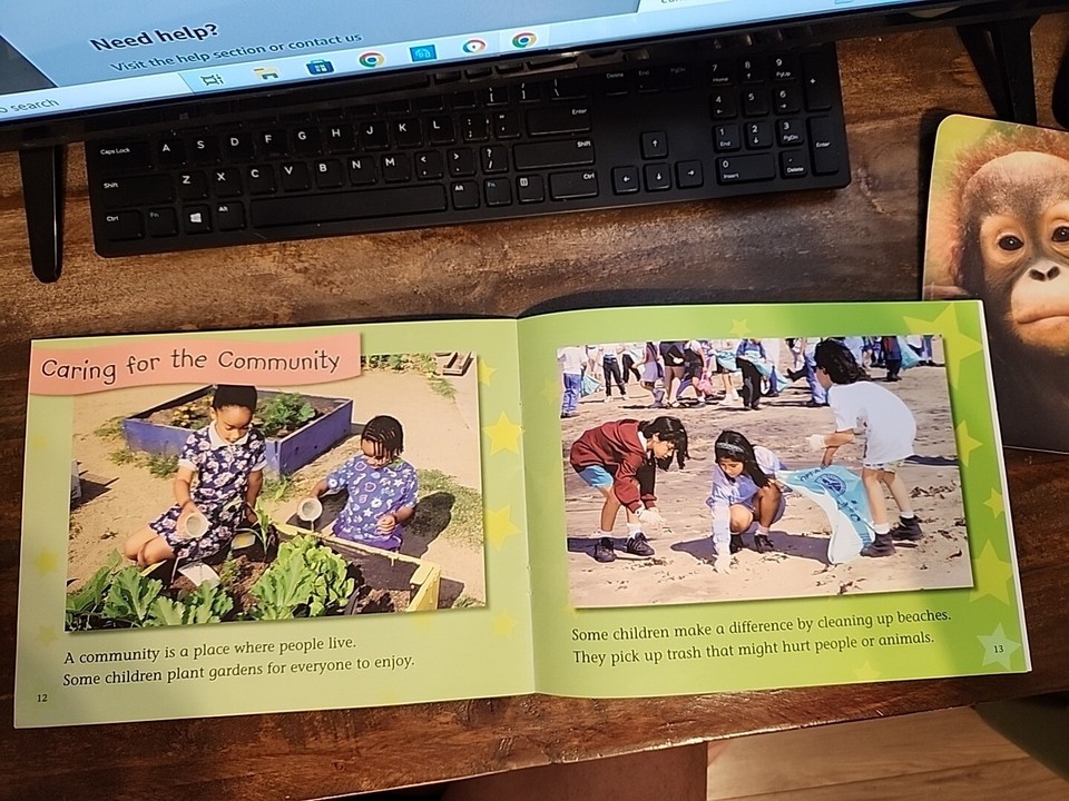 Shutterbug Books: Social Studies: Making a Difference by Jeri S. Cipriano (2003, 9780739876473| eBay