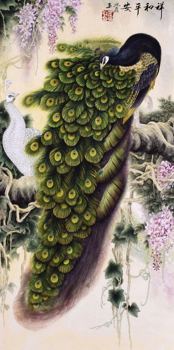 Chinese Peacock Illustration