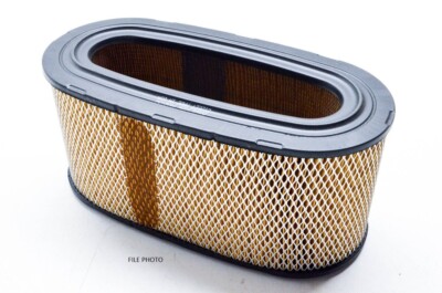 Donaldson Air Filter P536434 - 46417 WIX | eBay