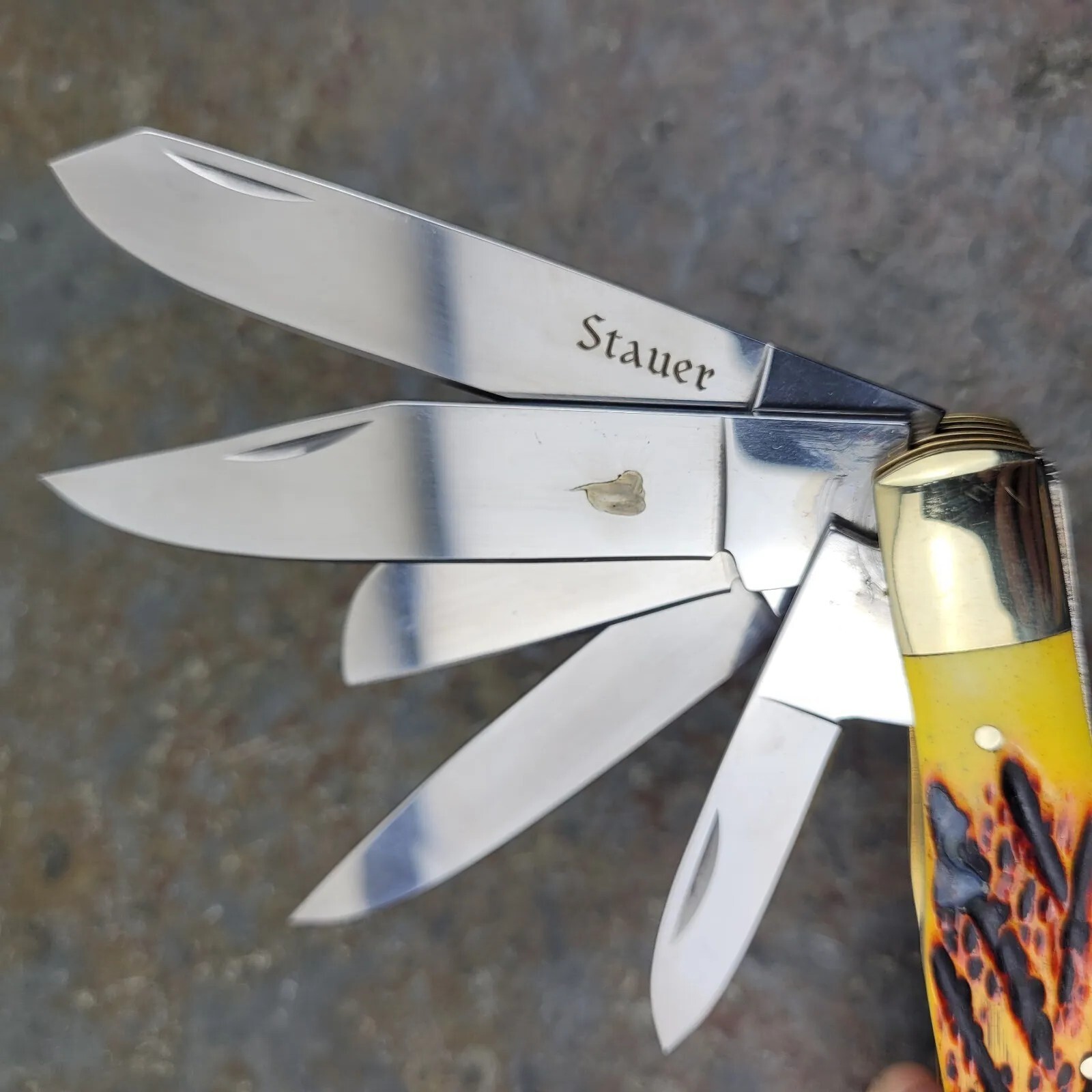 Stauer collectible 5 blade pocket knife faux bone handle | eBay