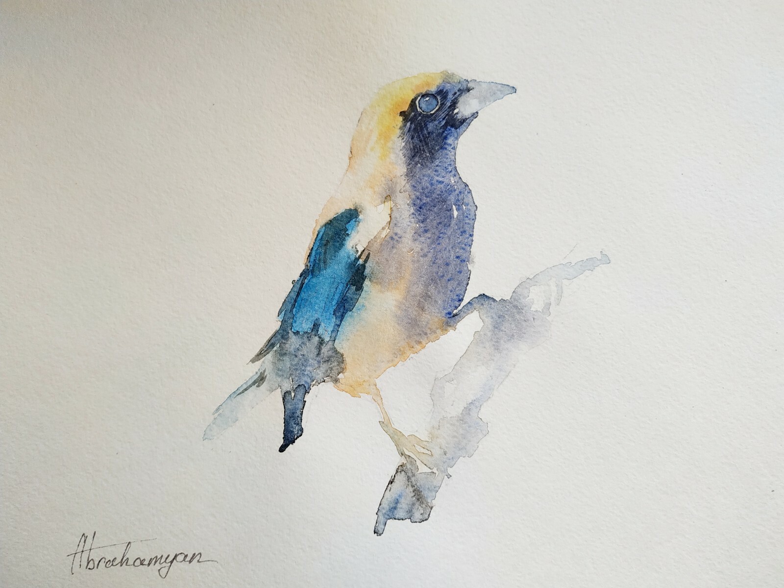 Tanger, Birds, Watercolor artwork, Handmade, Original painting on paper ...