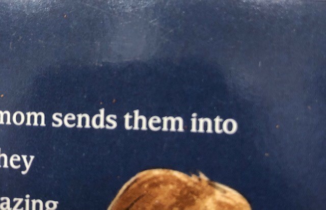 The Looking Book by P. K. Hallinan (Children's Board Books, 2019 ...