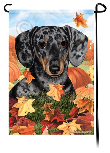 Falling Leaves Garden Flag - Shorthaired Dapple Light Black and Tan ...