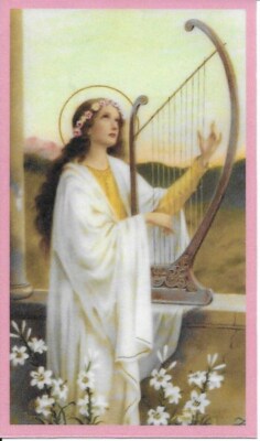 Holy Cards - Pink Rose