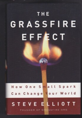 The Grassfire Effect: How One Small Spark Can Change Your World ...