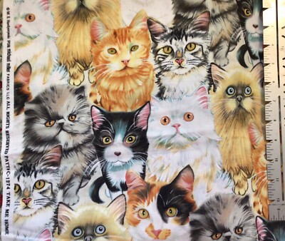 Michael Miller Take Me Home Cats Kittens Cotton Fabric 1 Yard | eBay