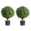 Silk Tree Warehouse Company Inc LPB446GR Topiary - Green (2 Pack) for ...
