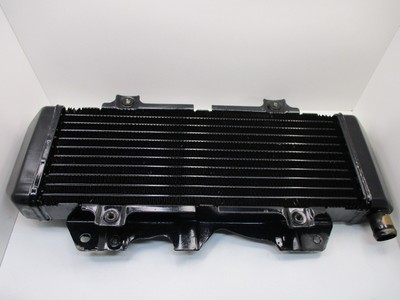 1987-2006 Honda Helix CN250 NOS OEM Radiator NEW OLD STOCK! Nice Shape ...