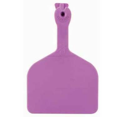 Cattle - Beef - Z Tag Cattle