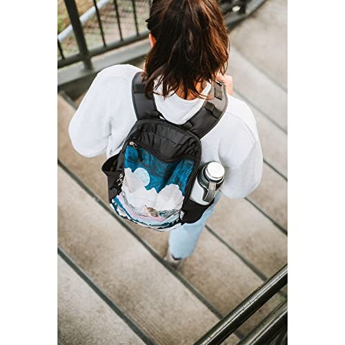 ChicoBag Travel Pack rePETe Recycled Backpack w/Built-In Pouch ...